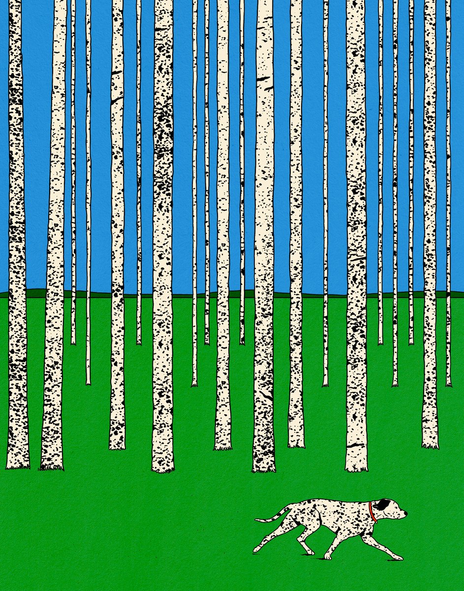 The Dalmatian | Simon Bailly