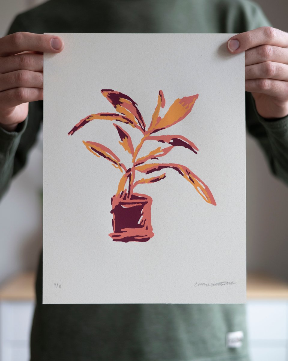 Sunset House Plant Screenprint | Boring House