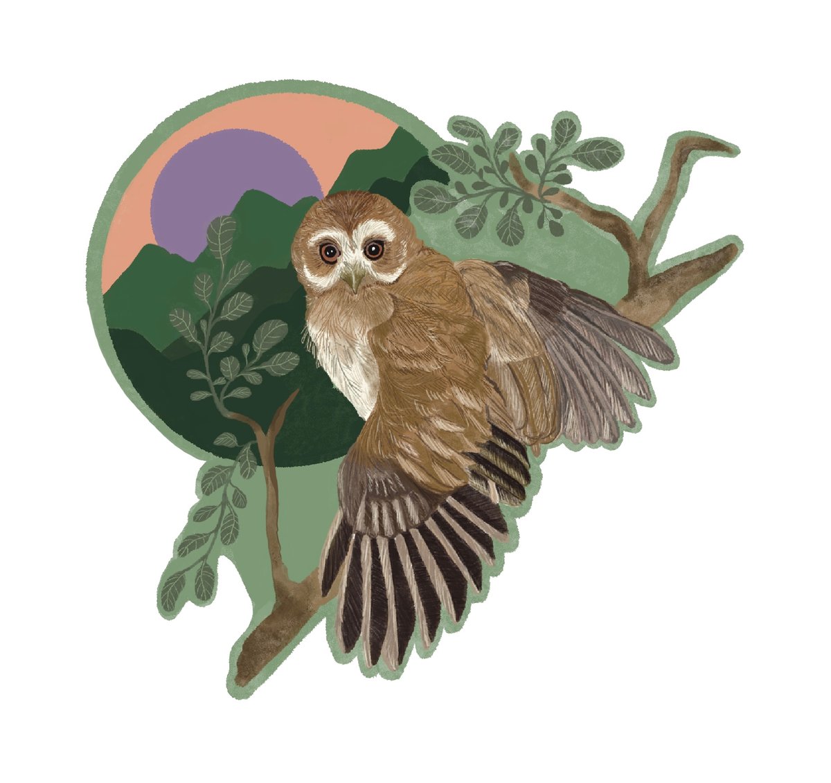 Mucarito de Puerto Rico | Taller Pimenta