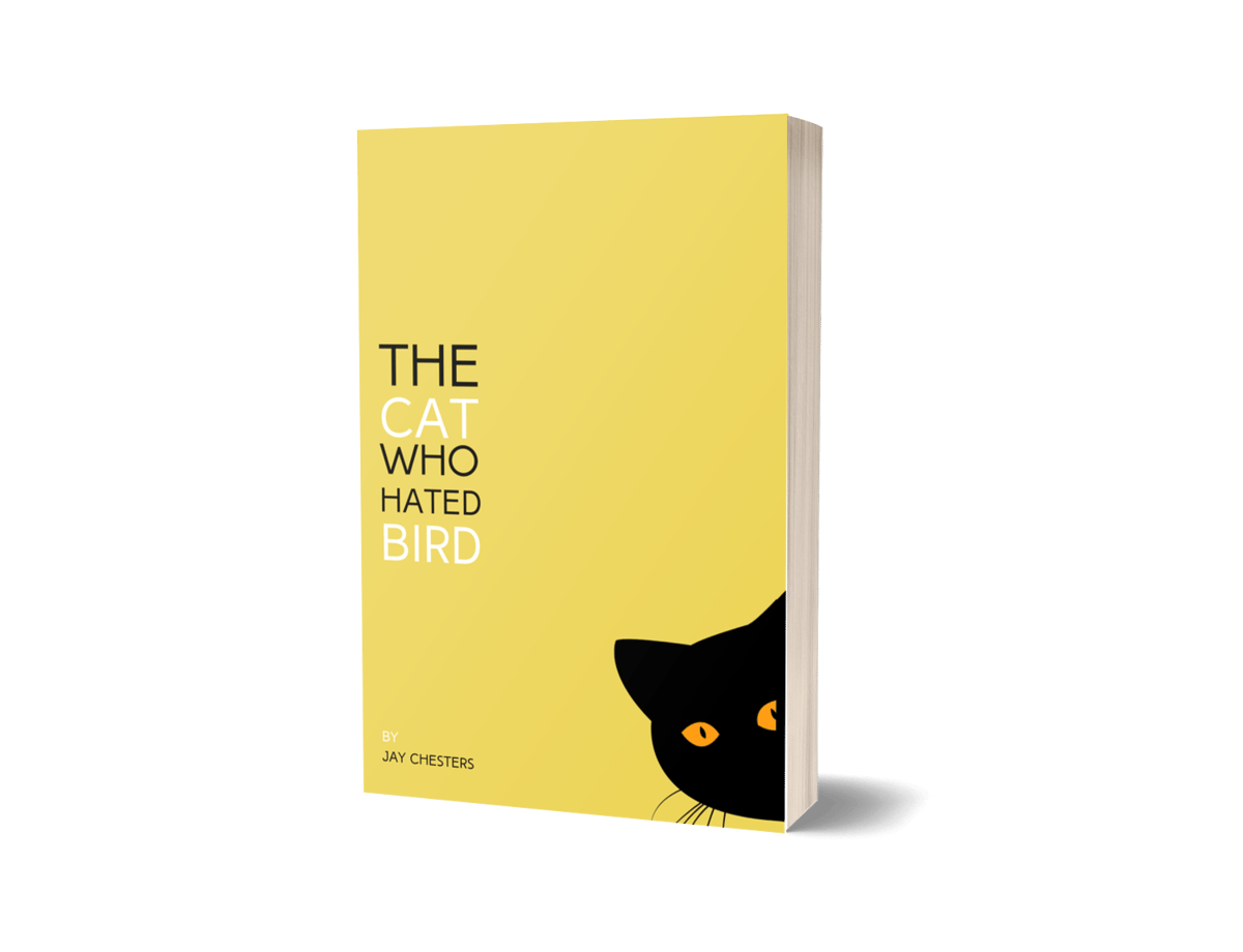 The Cat Who Hated Bird | Radical Bookshop