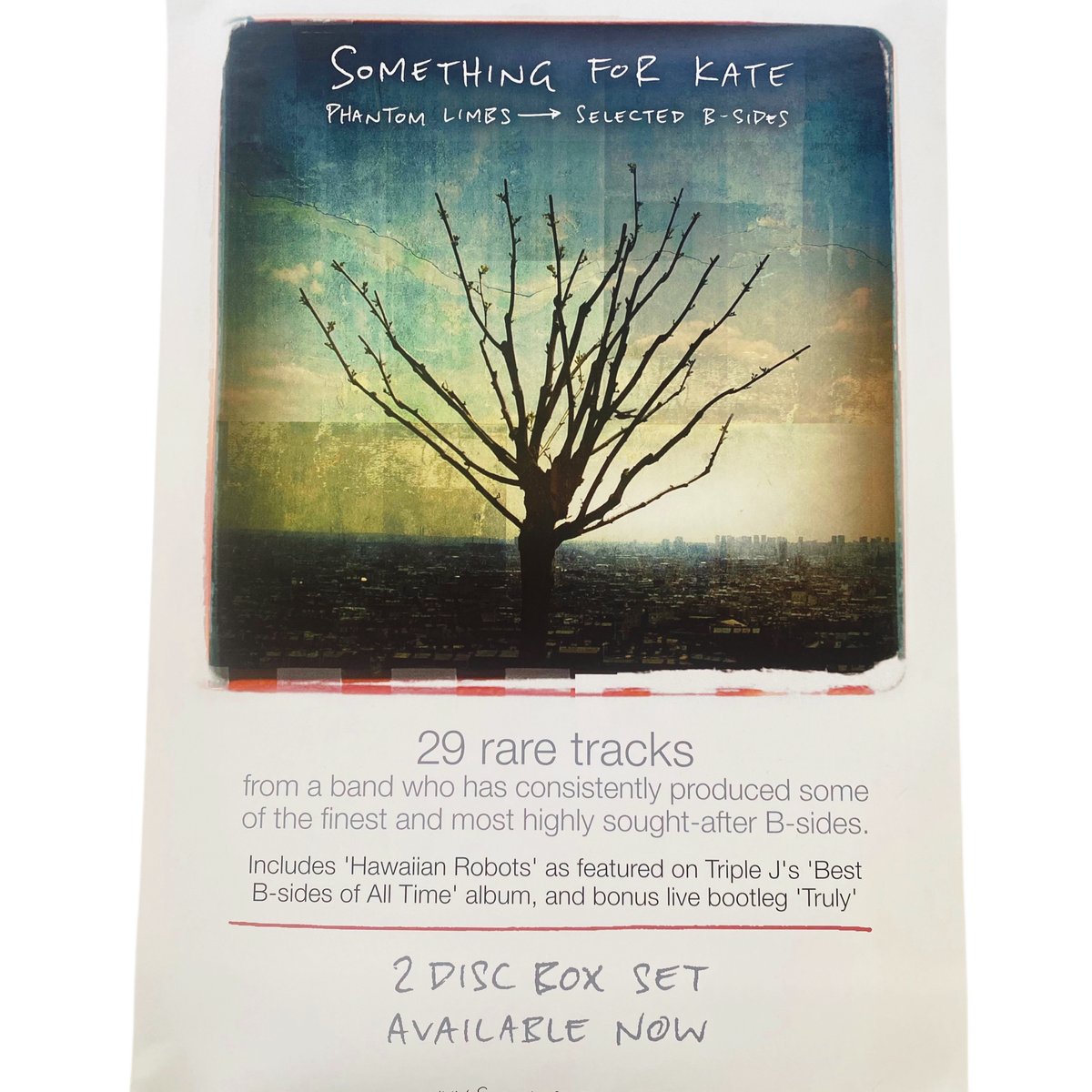 *rare* Something for Kate Phantom Limbs poster | Something For Kate ...