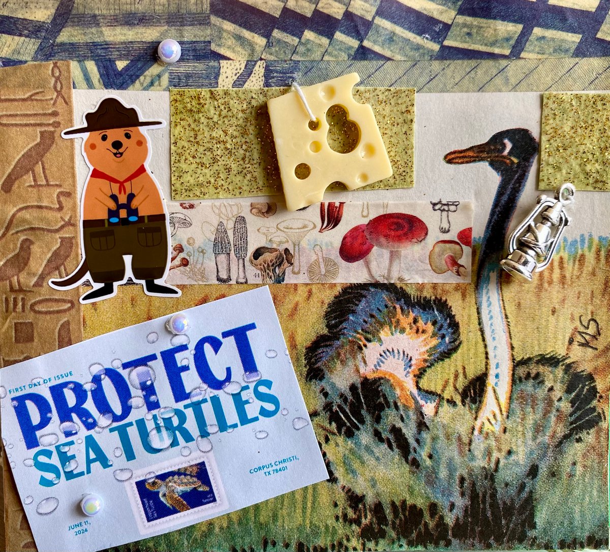 Sea Turtle Protection Detail | Martha Savage Studio Gallery