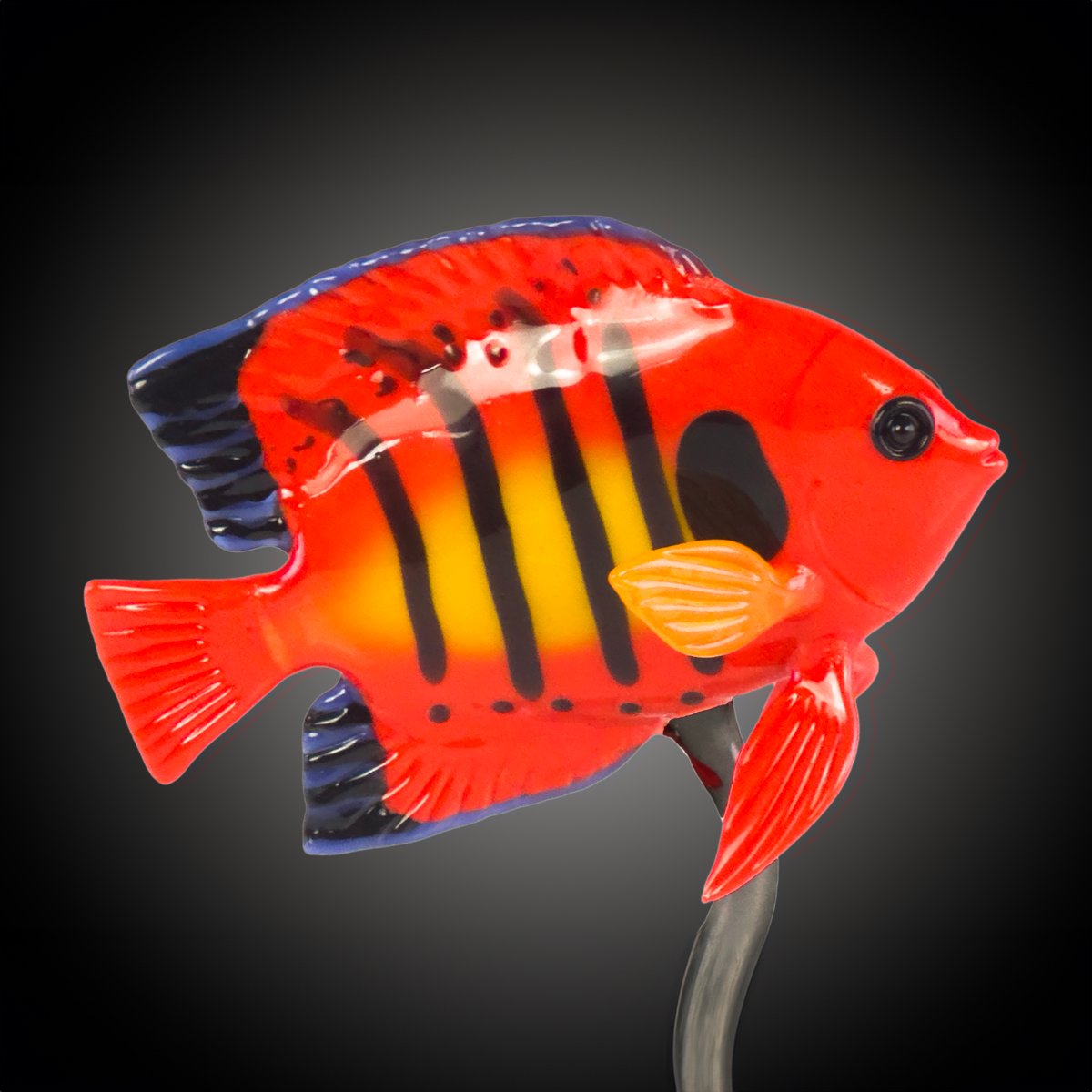 Flame Angelfish - by Robert Mickelsen | Robert Mickelsen Glass Art