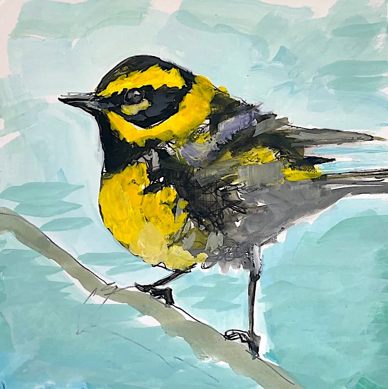 Speed Bird | AND OTHER MAGICAL CREATURES