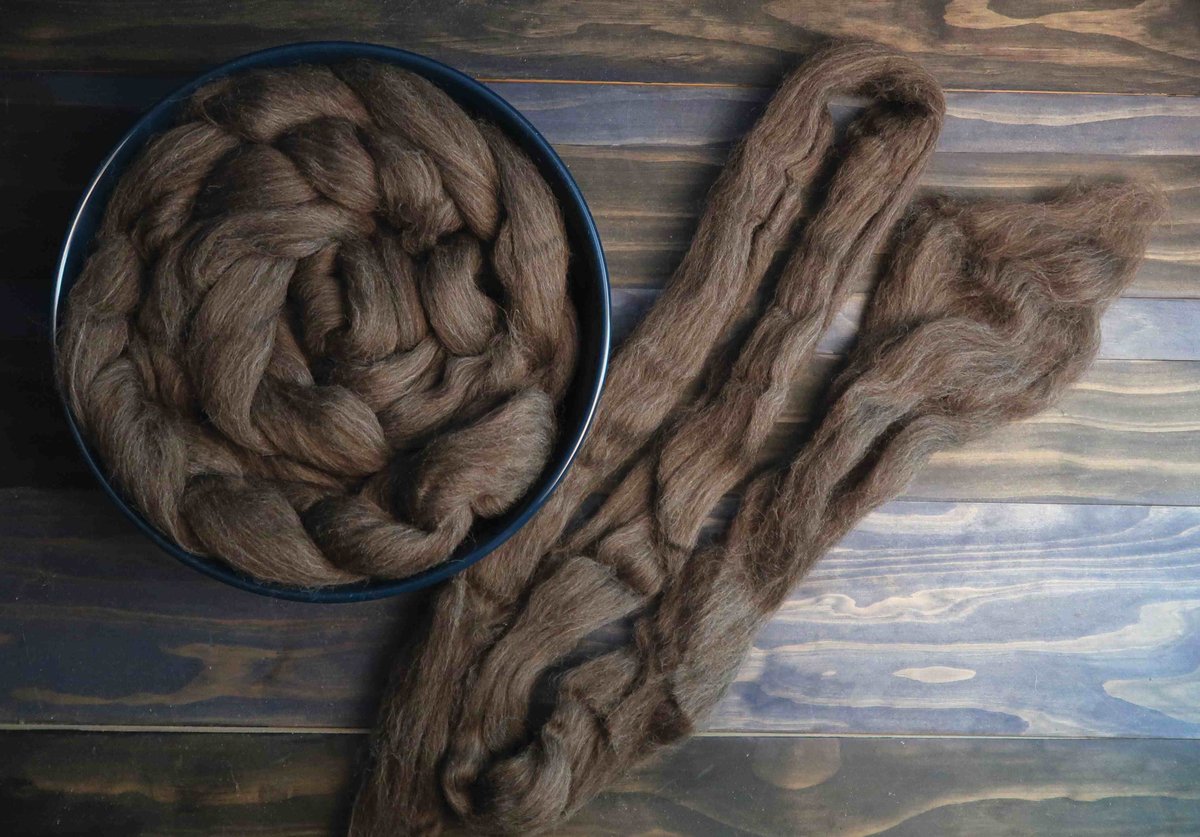 Moorit Combed Top - Portugal-grown Fine Wool | Fossil Fibers