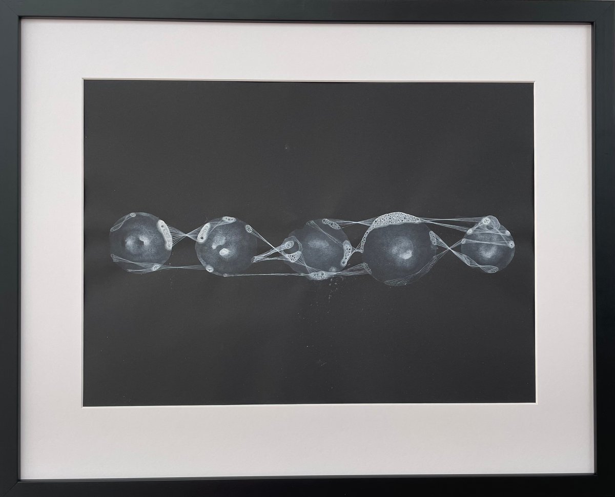 Tether | Zoe Snape Artist