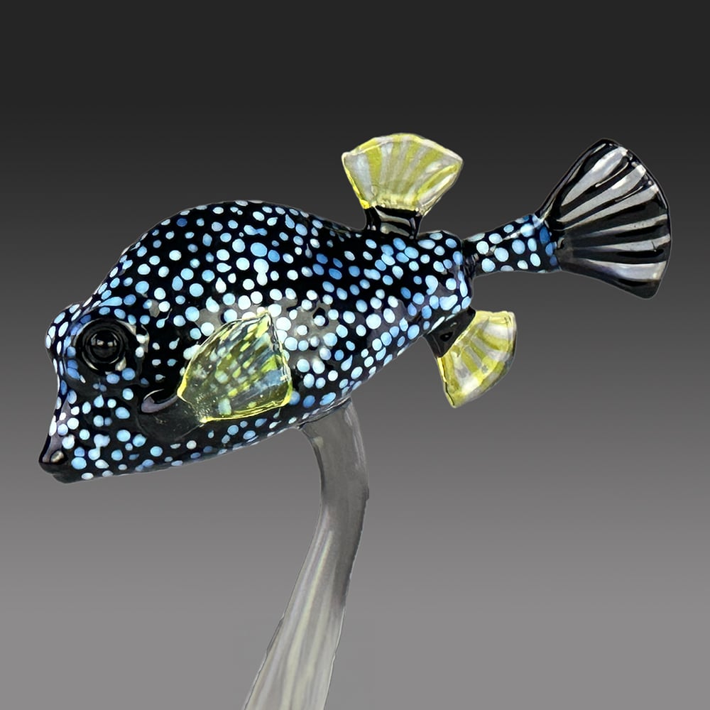 Smooth Trunkfish | Robert Mickelsen Glass Art