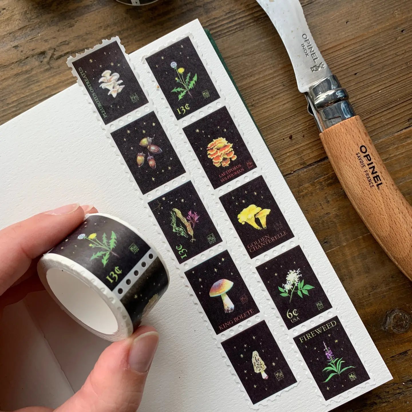 Foraging Stamp Washi Tape (25mm wide, stamp perforation) | The Well ...