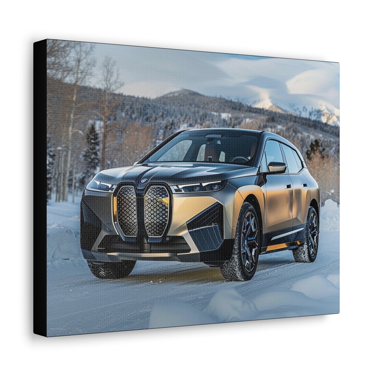 2022 BMW IX Canvas | Motor City Canvas