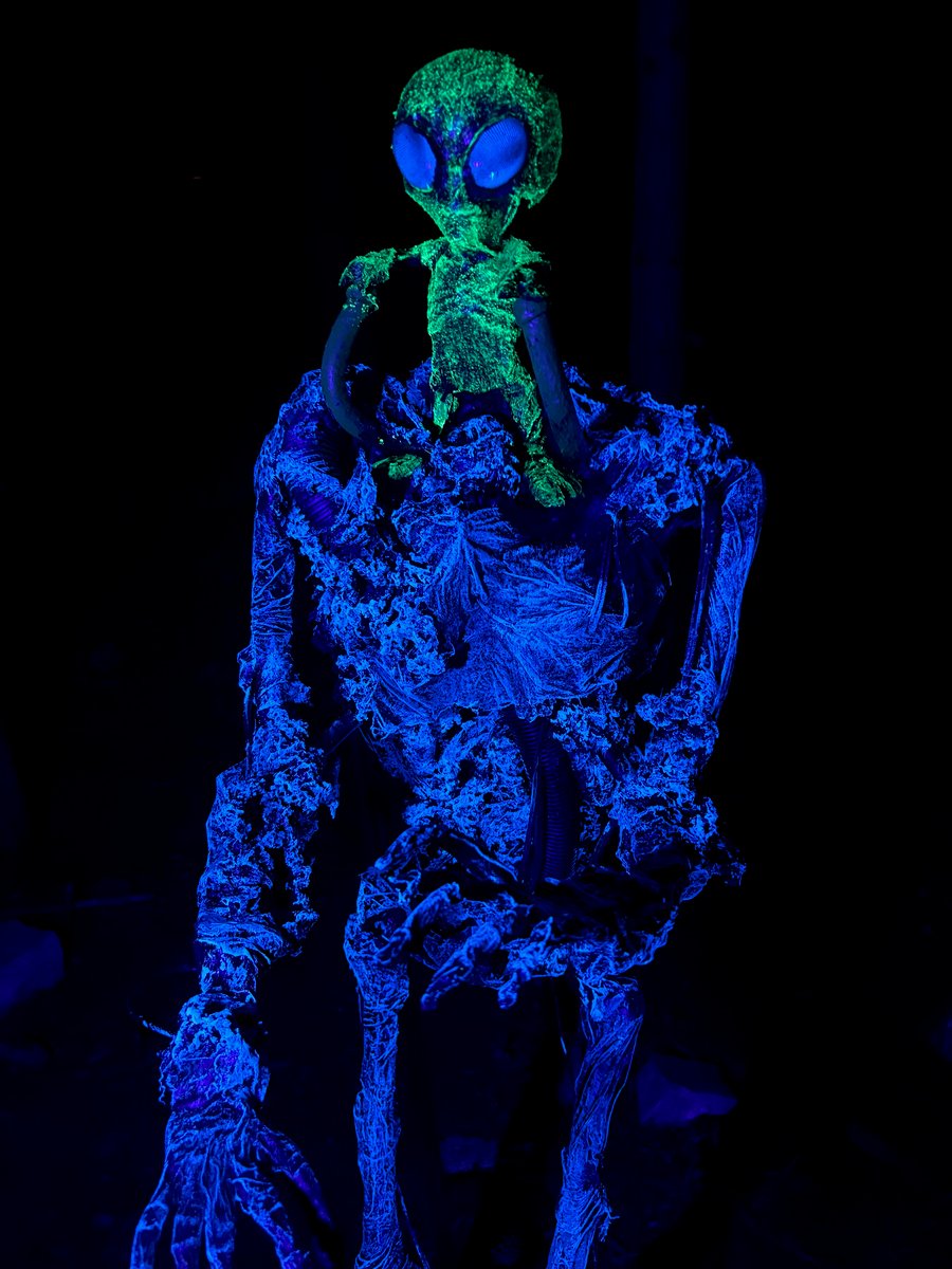 Alien Controlled Zombie | Bergemann Brains