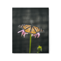 Monarch Butterfly | Rowan Stout Gallery