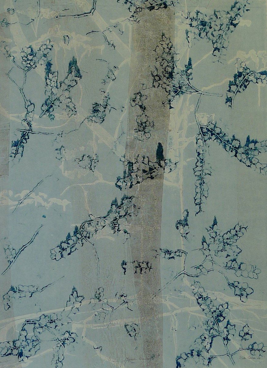 Beech Overlay | SUE COOKE - ARTIST