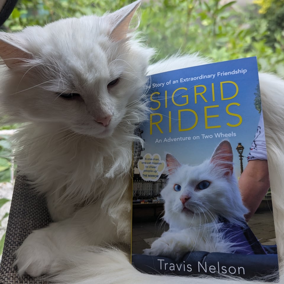 Sigrid Rides
