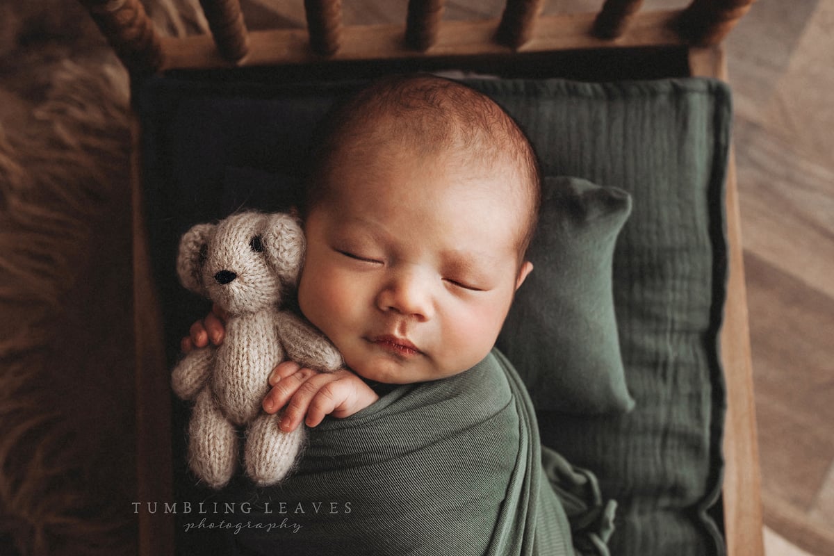 Newborn Mini Sessions | Tumbling Leaves Photography