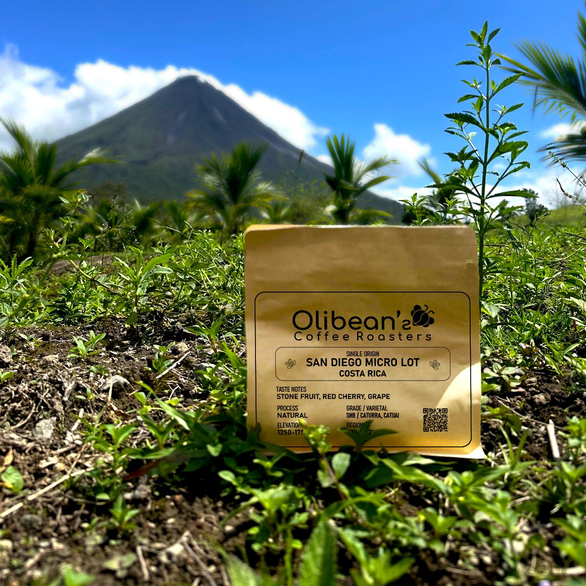 Costa Rica - San Diego Micro Lot | Olibeans Coffee