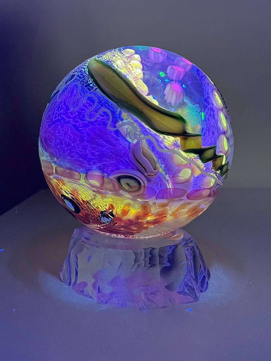 Wise Protector | Jared DeLong