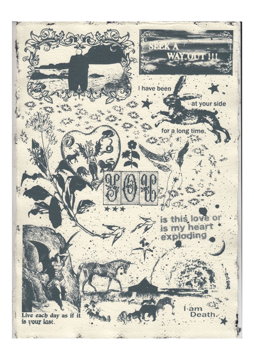 Death Is Truth A4 Print | FLIGHT OF THE IBIS