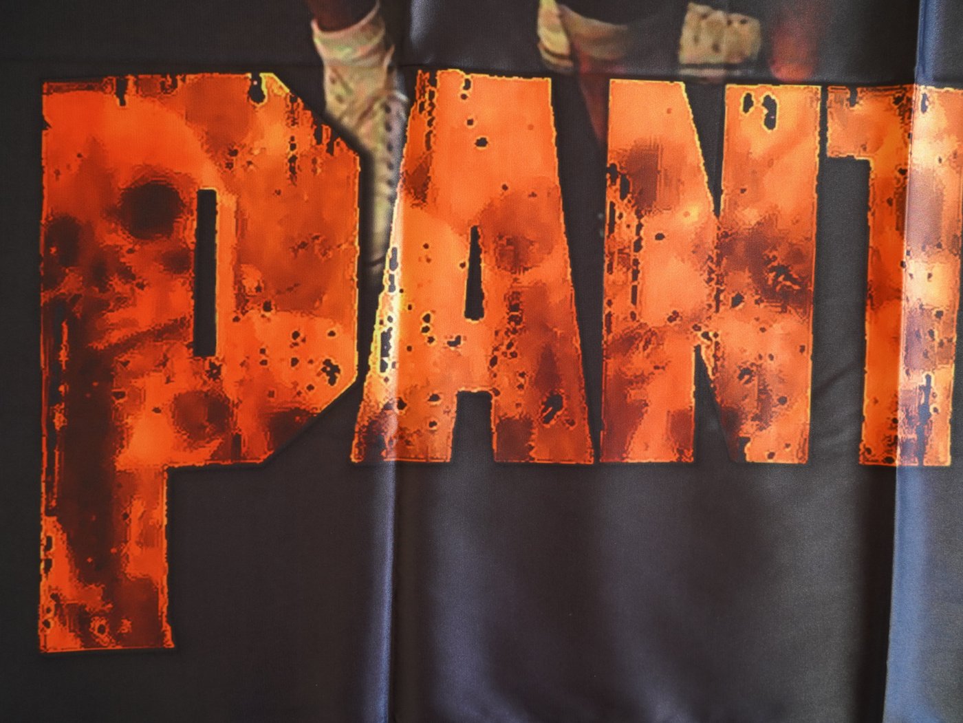 PANTERA - Band photo Flag (cloth poster Banner tapestry) Groove metal ...