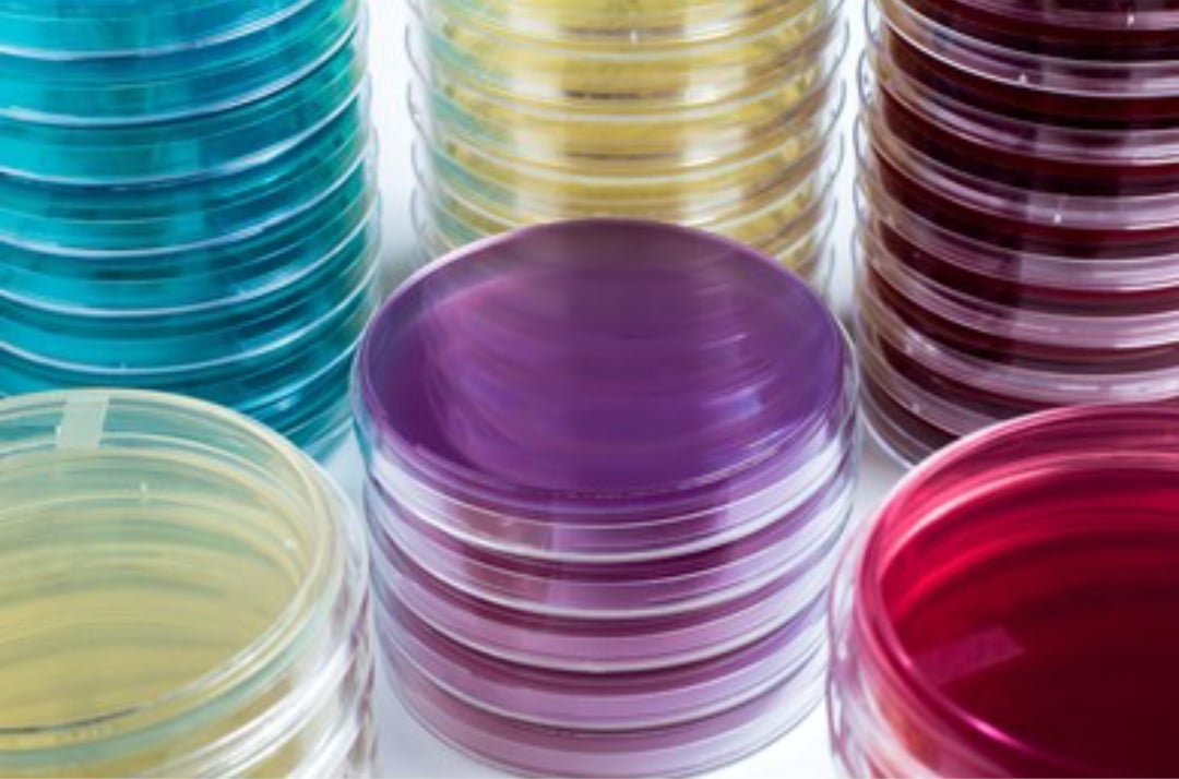 Lab Supplies | Myco Conduit