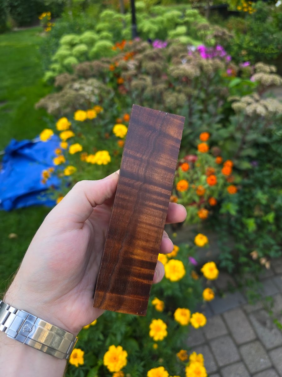 Ringed Gidgee 30 | Teddy's Timber