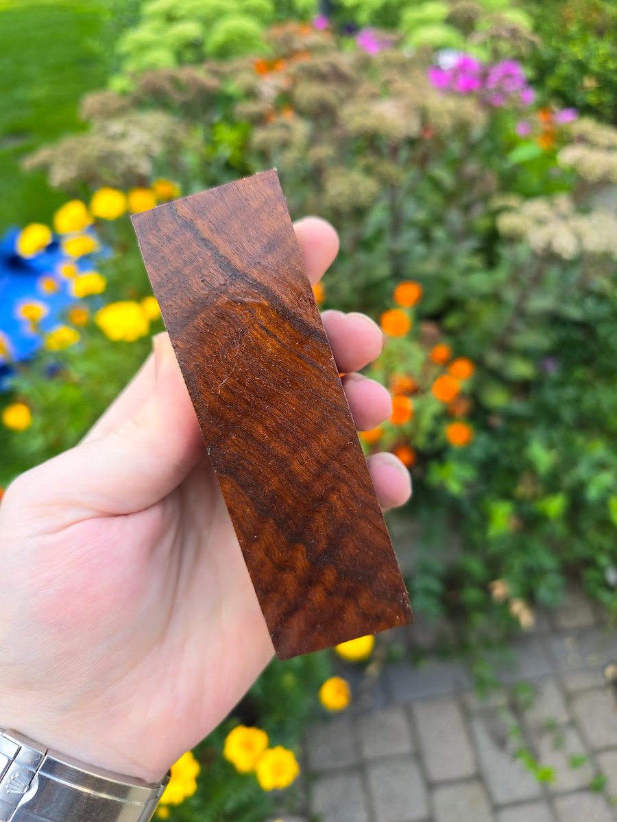 Ringed Gidgee 31 | Teddy's Timber