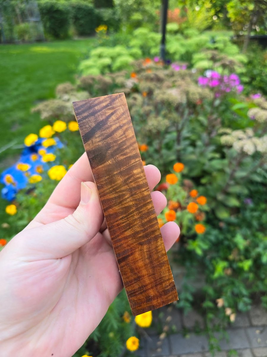 Ringed Gidgee 33 | Teddy's Timber