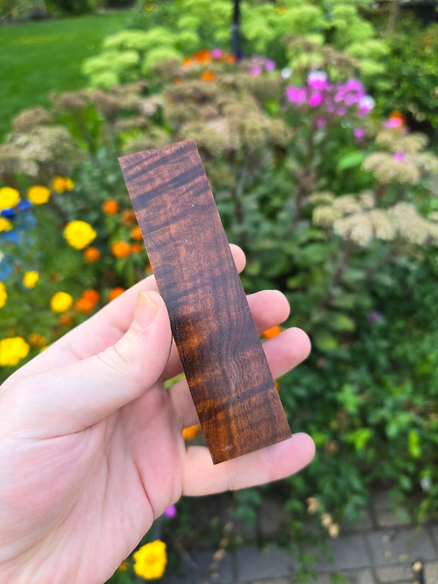 Ringed Gidgee 36 | Teddy's Timber