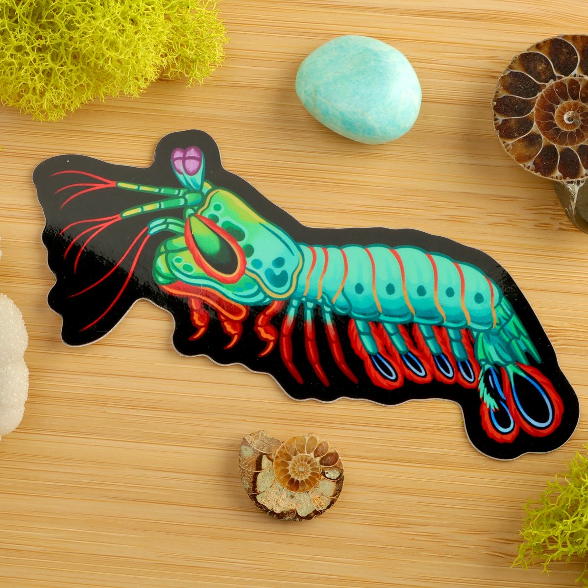 Peacock Mantis Shrimp Sticker *Holographic!* | fossilforager
