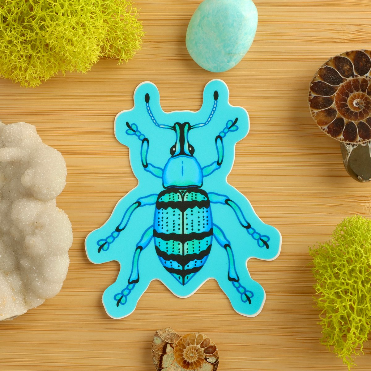 Blue Weevil Sticker (Top-Down) | fossilforager