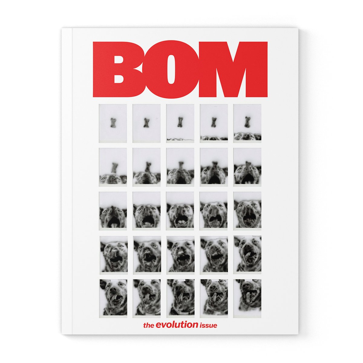 BOM ISSUE 4 EVOLUTION | Beyond Our Minds