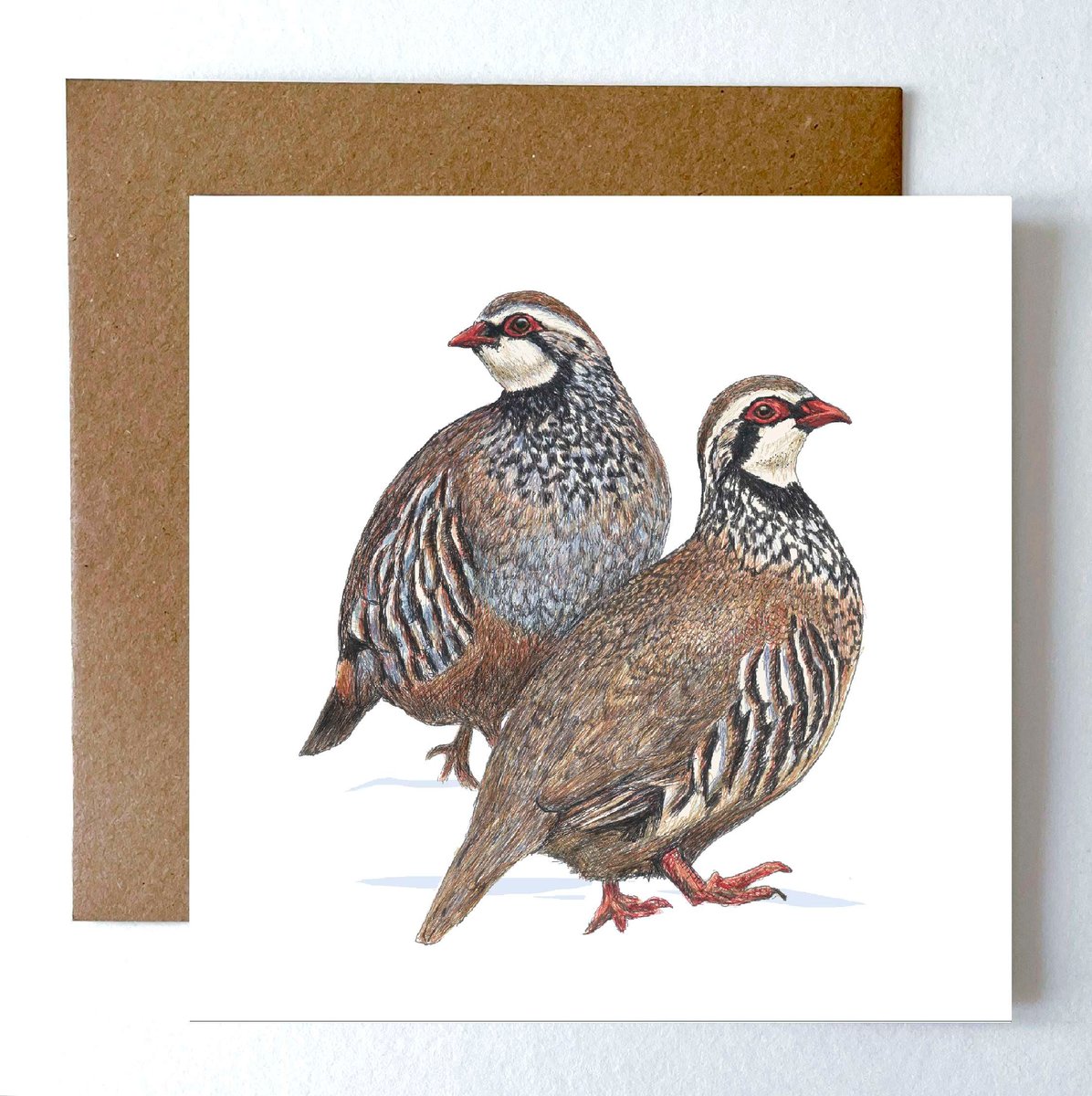 PARTRIDGE CARD | Helen Briggs Design- Bird Artwork and Nature Prints
