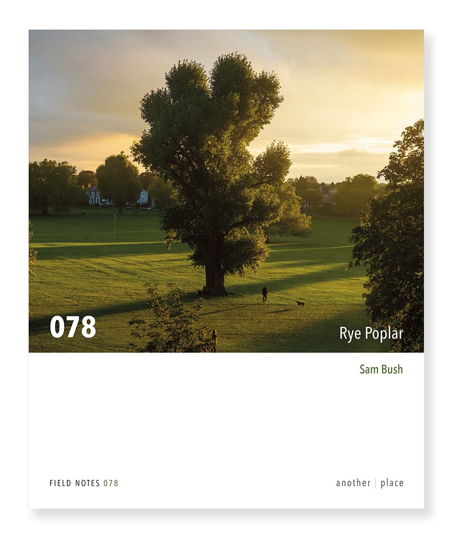 Rye Poplar - Sam Bush | another place press