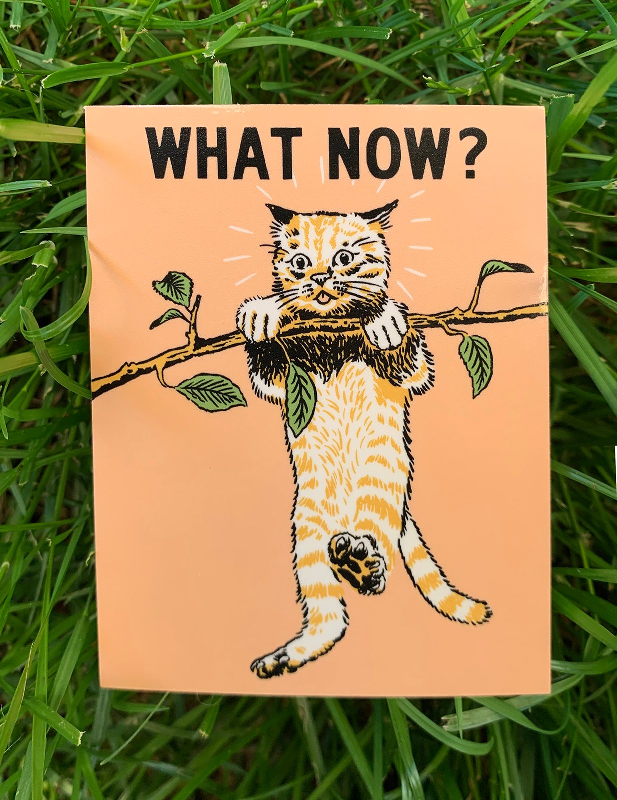 What Now? Sticker / Ryan Duggan