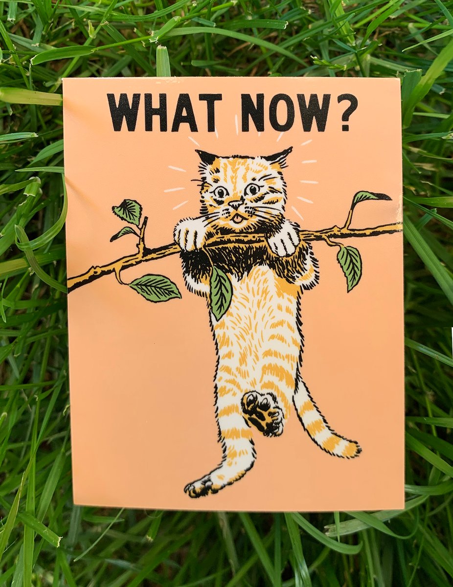 What Now? Sticker / Ryan Duggan