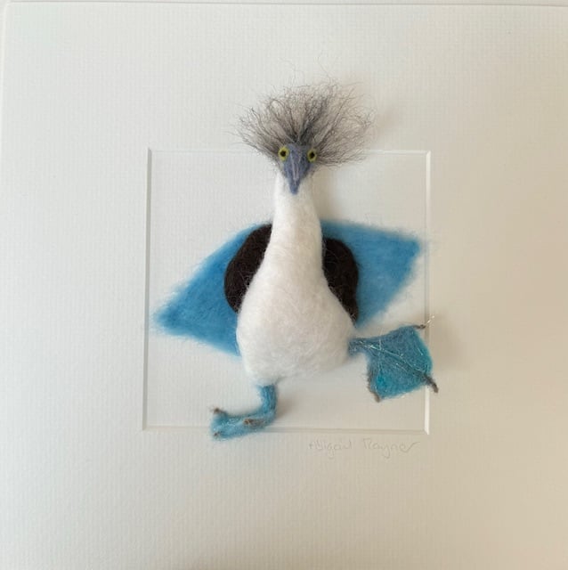 Nigel the Blue Footed Booby Bird / Abigail Rayner