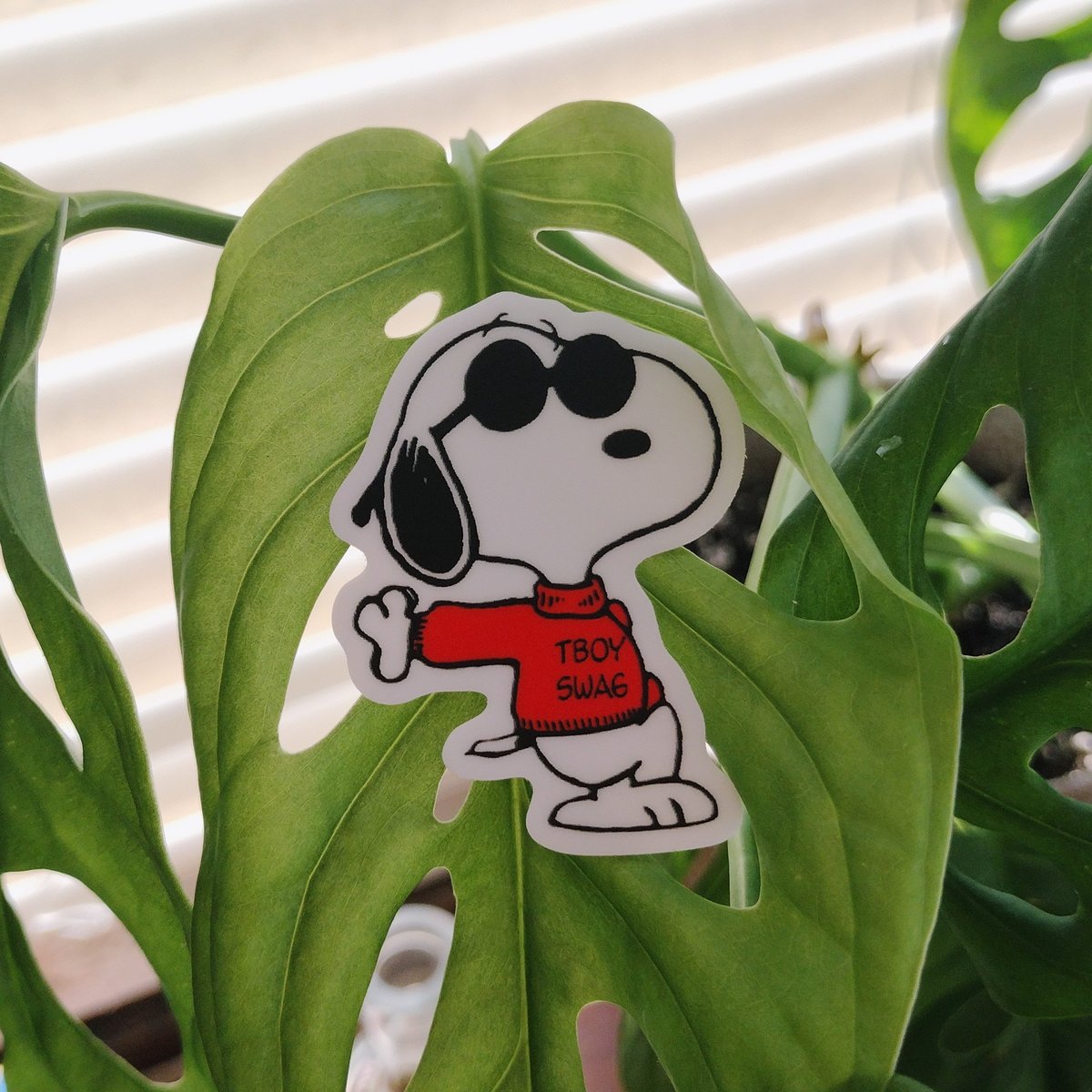tboy swag snoopy | sweatermuppet