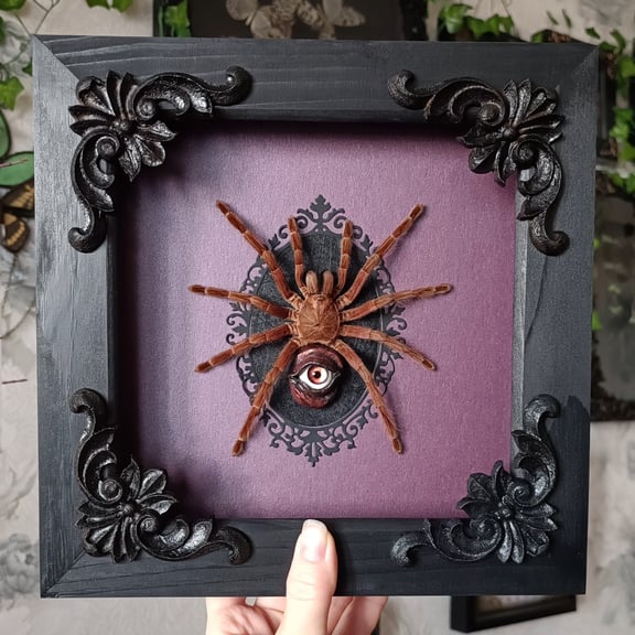 Home | Tarantulabox