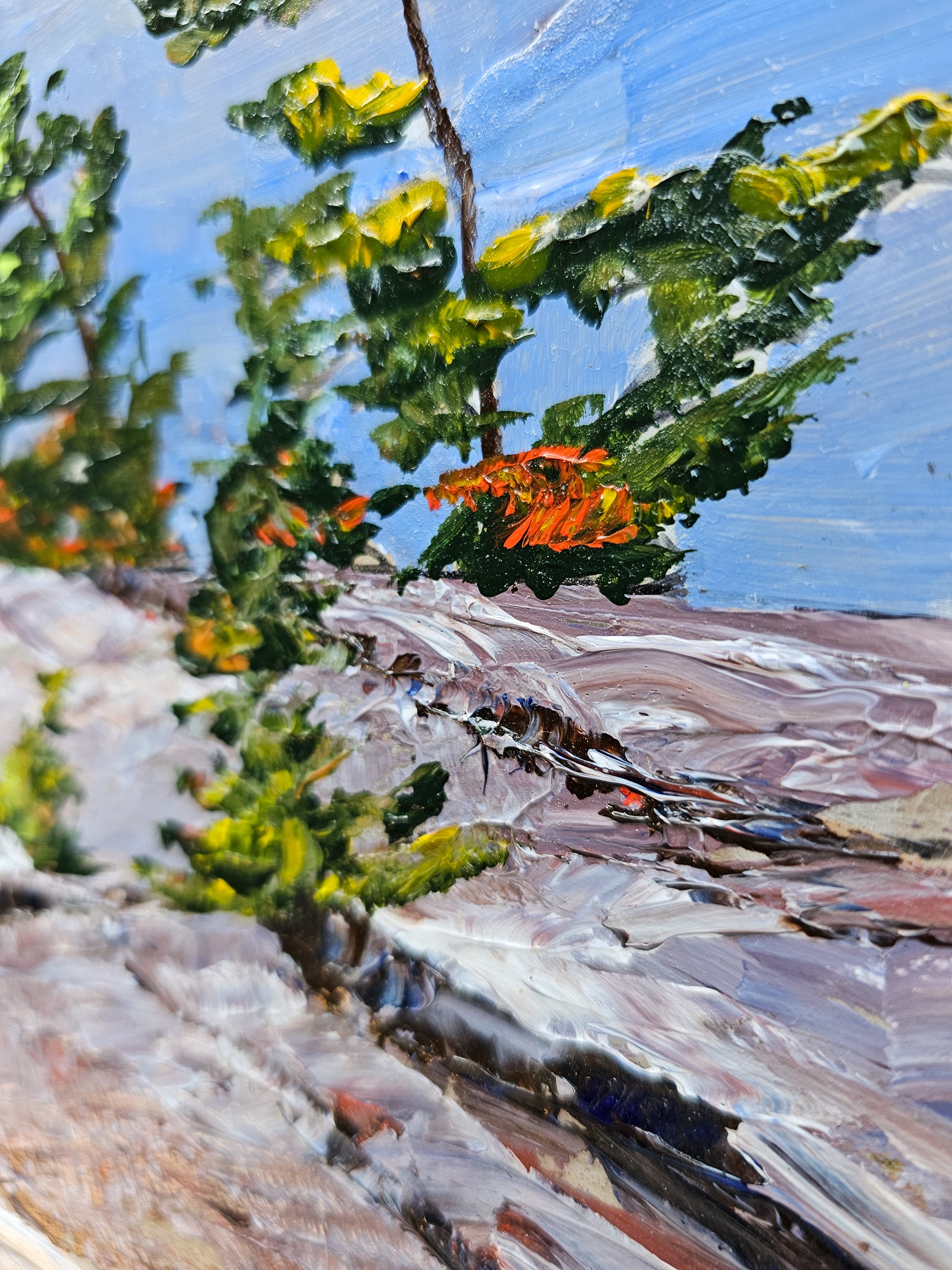 - Checking Out The Bay - | Jamie MacLean Fine Art