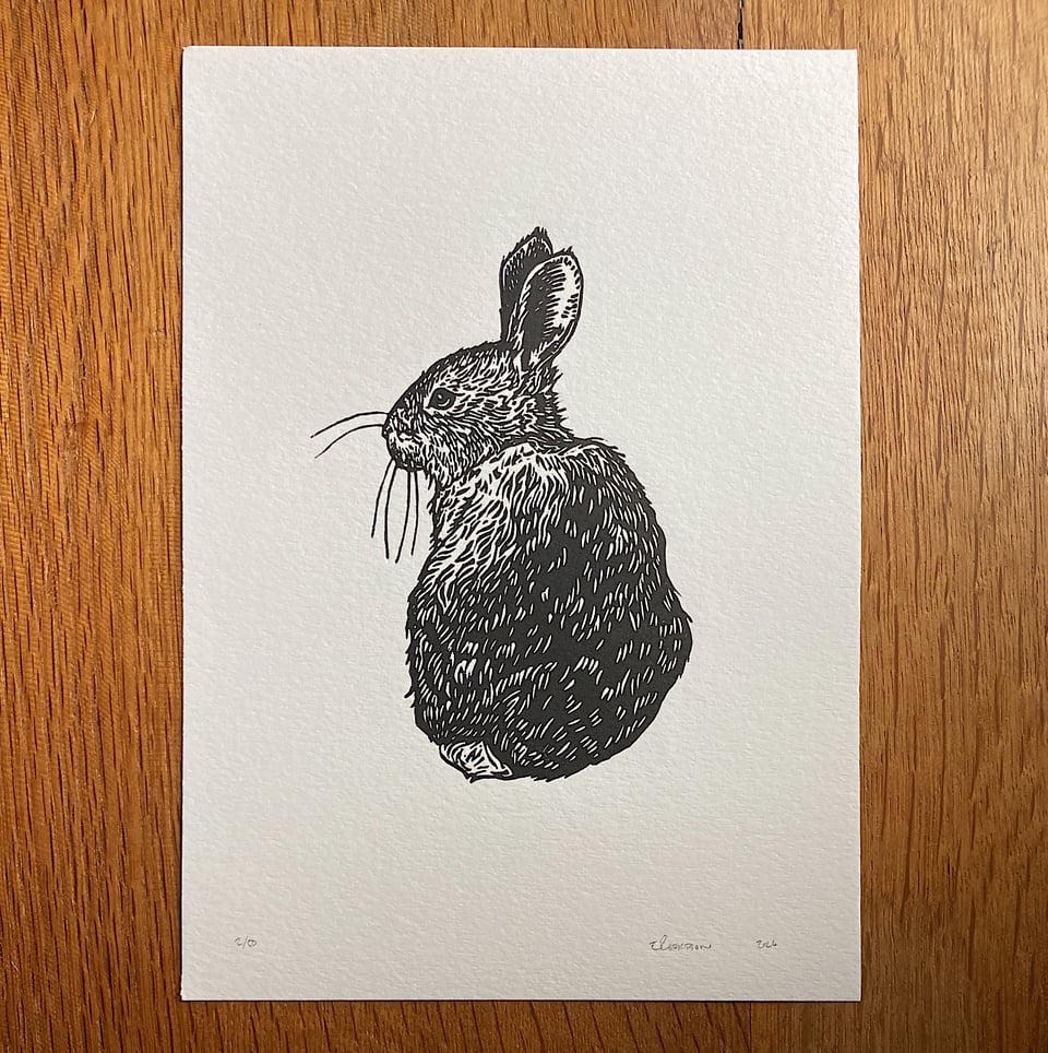 Brown Rabbit Emily Robertson