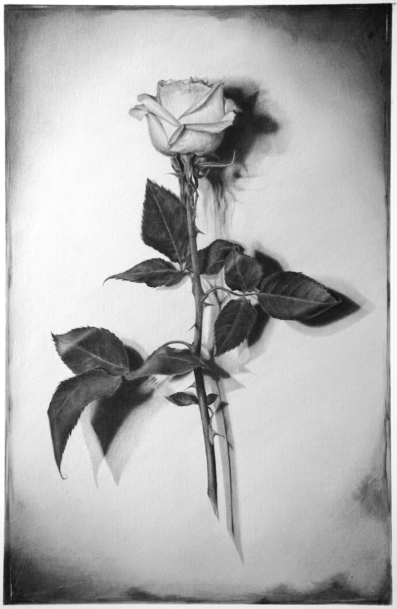 Ghost of Rose gicleé print 2 sizes | Lizz+Lopez