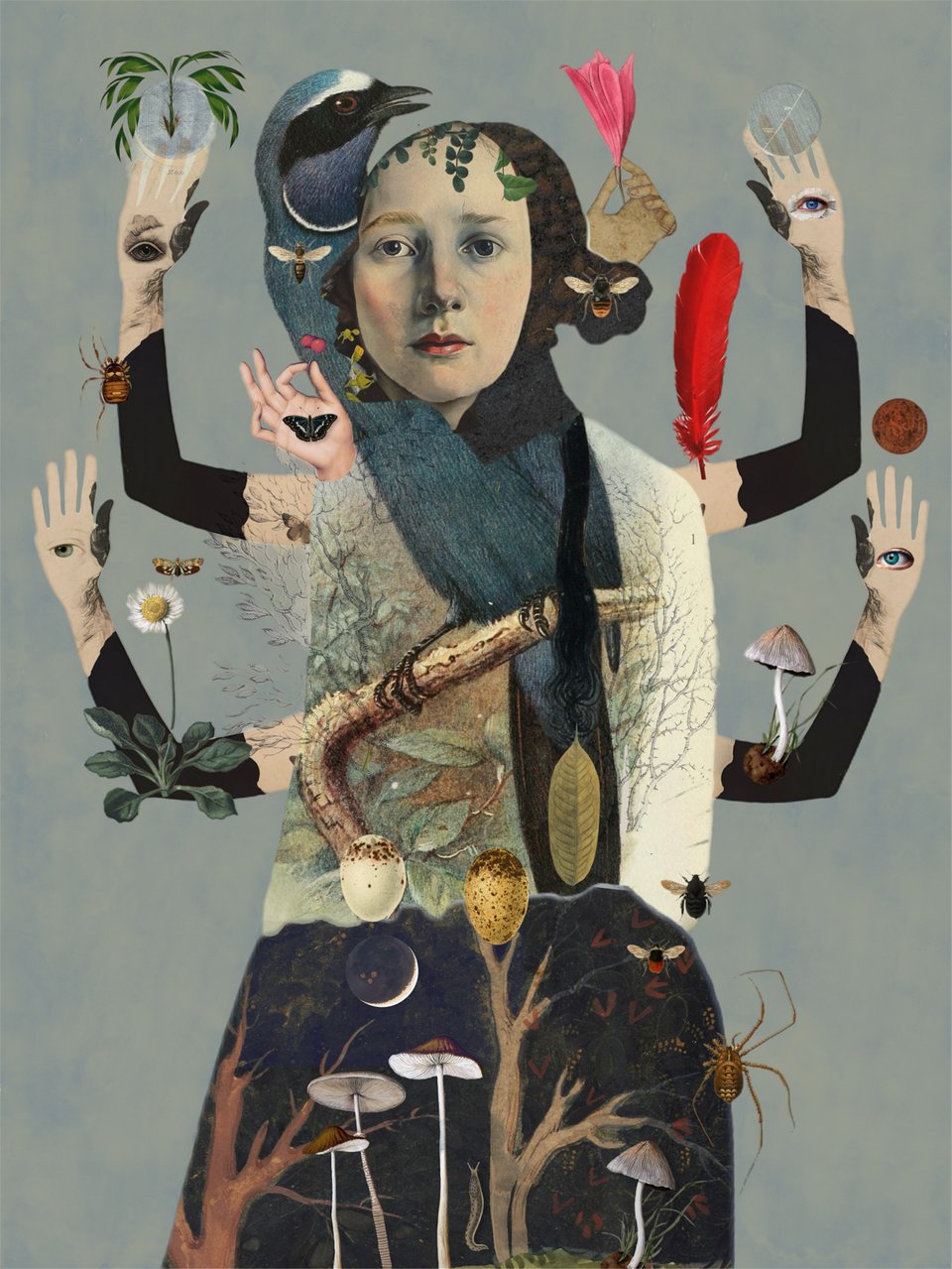 Products | Sarah Jarrett Art