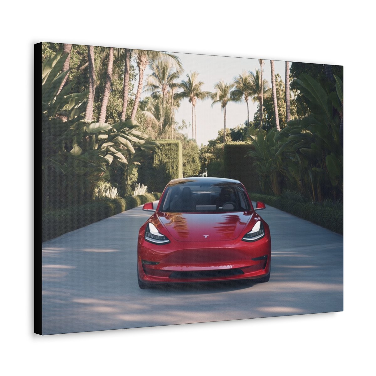 2022 Tesla Model 3 Canvas | Motor City Canvas