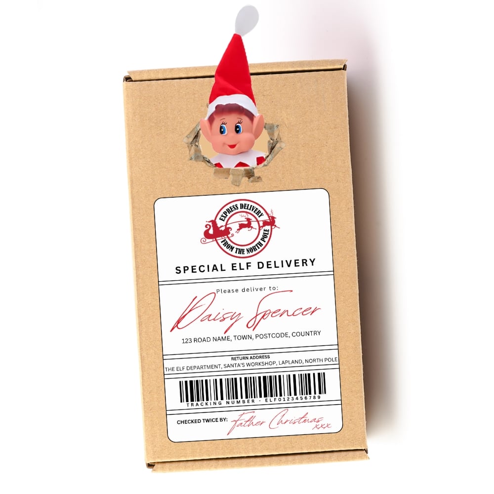 Personalised Elf Arrival Postal Box | The Elf Shop