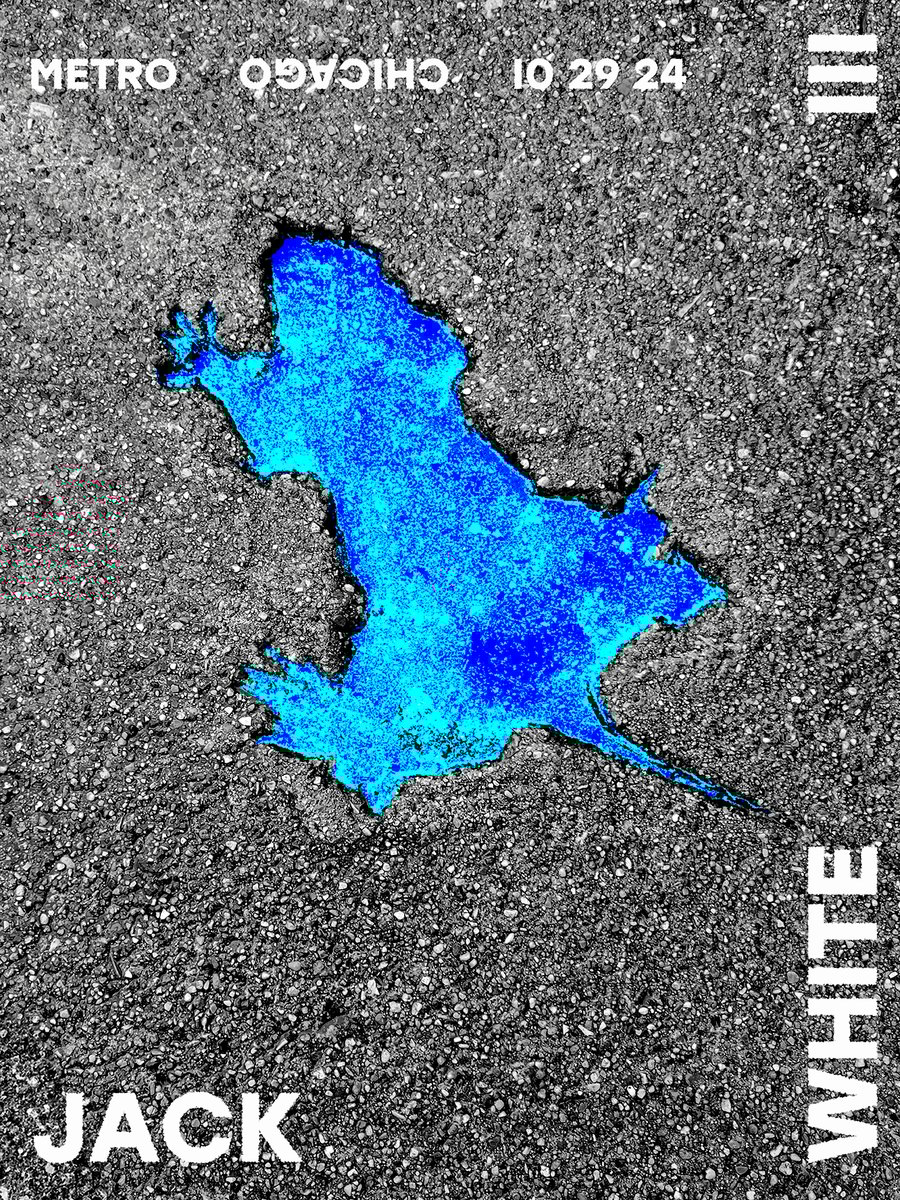 Matthew Jacobson — Jack White, Metro, Chicago