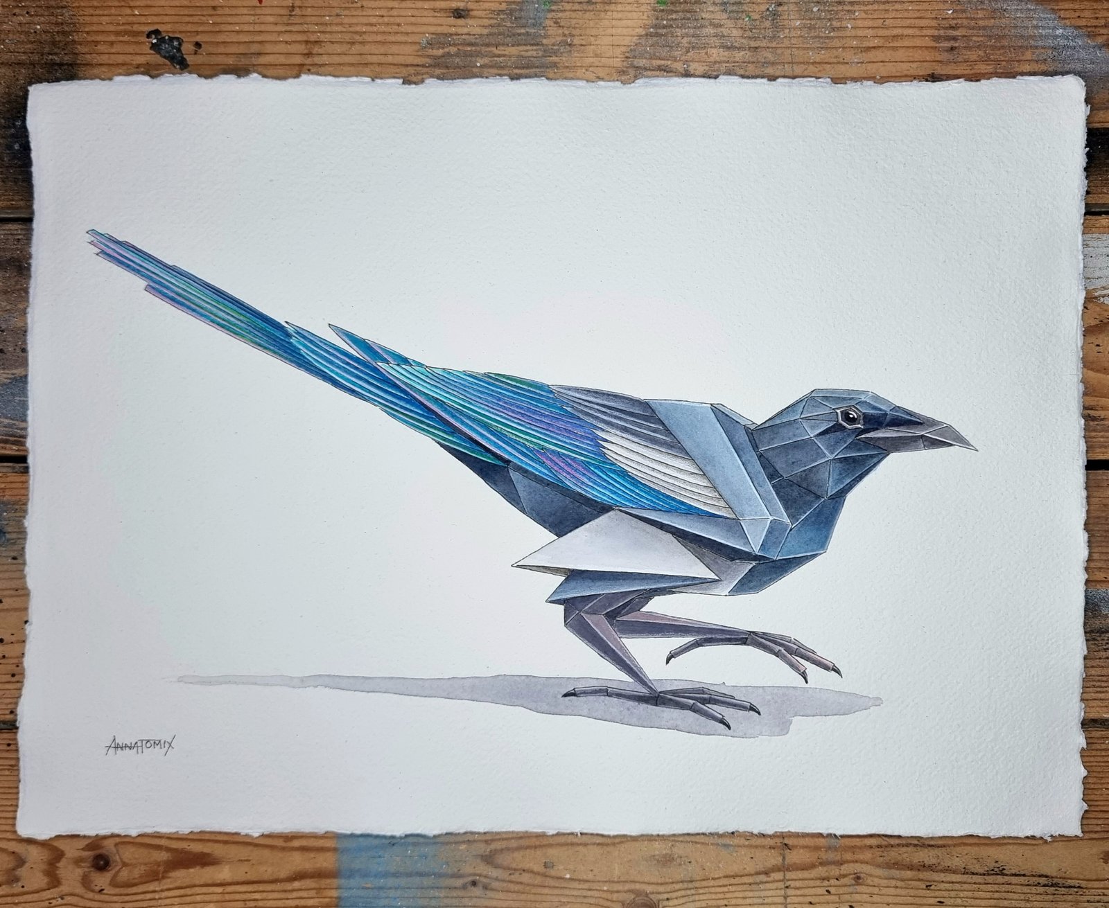"Magpie" original watercolour study / ANNATOMIX