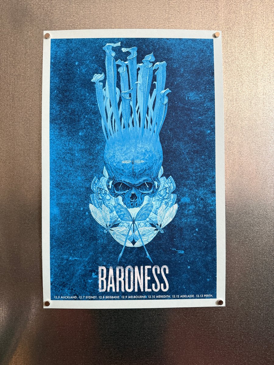 Tour Posters | johndyerbaizley