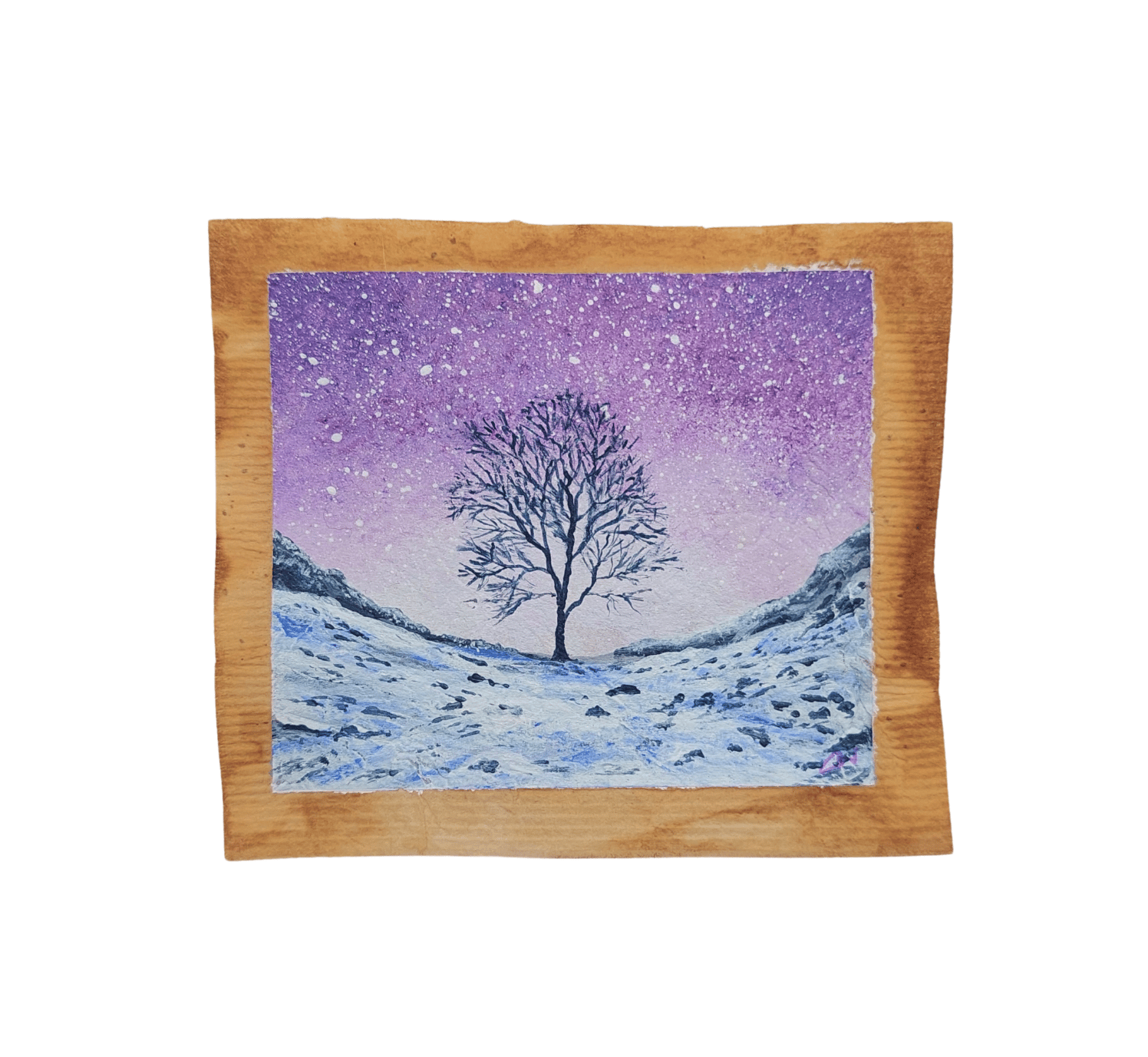 Sycamore Gap Tree ~ Winter | Carolouise Art