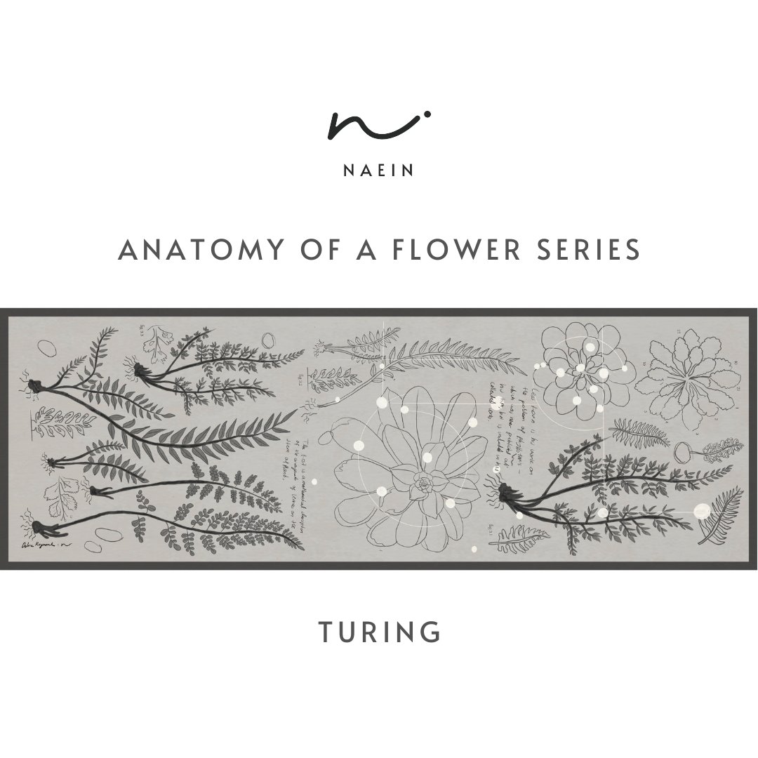 Turing, Anatomy of a Flower Series | naein