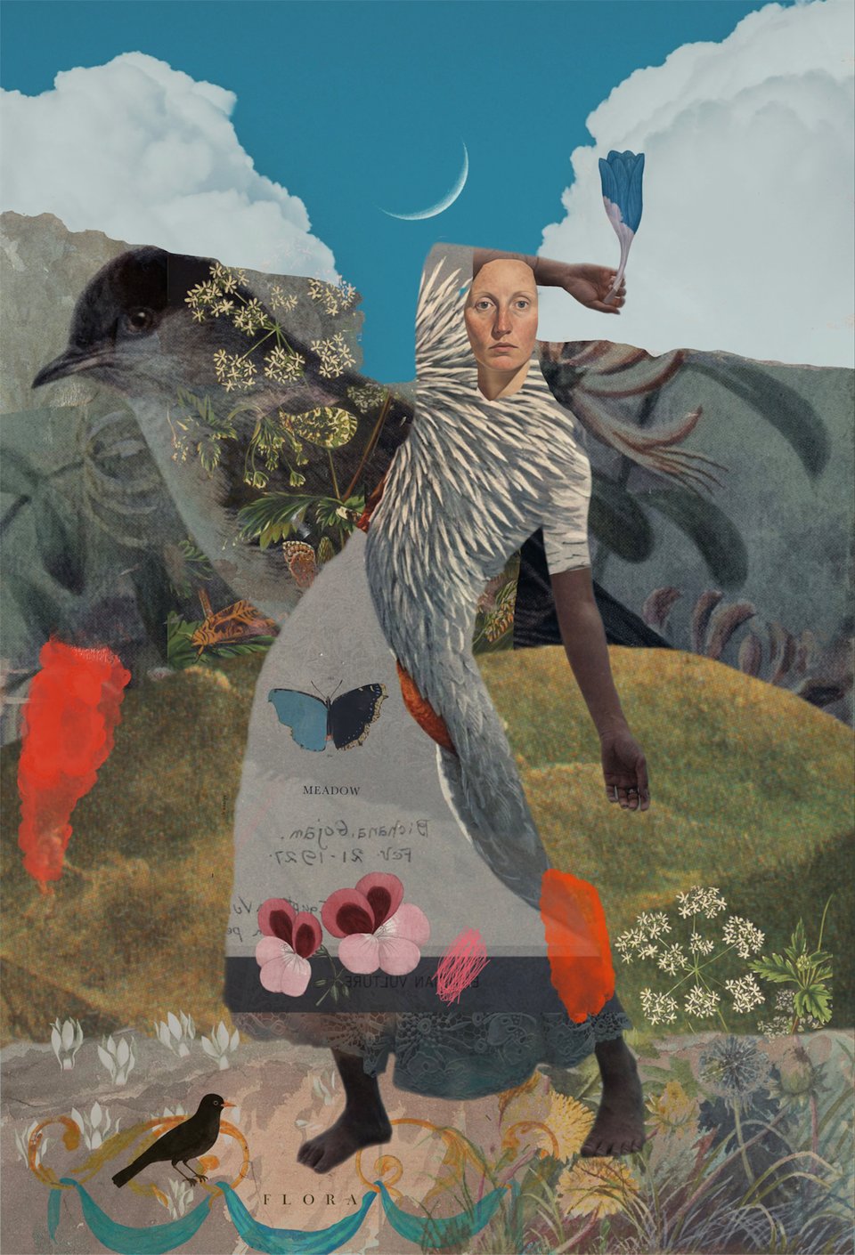 Products | Sarah Jarrett Art