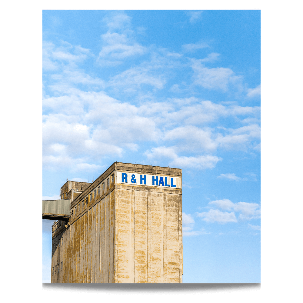 R&H Hall - head in the clouds 8x10 | Tropic of Cork